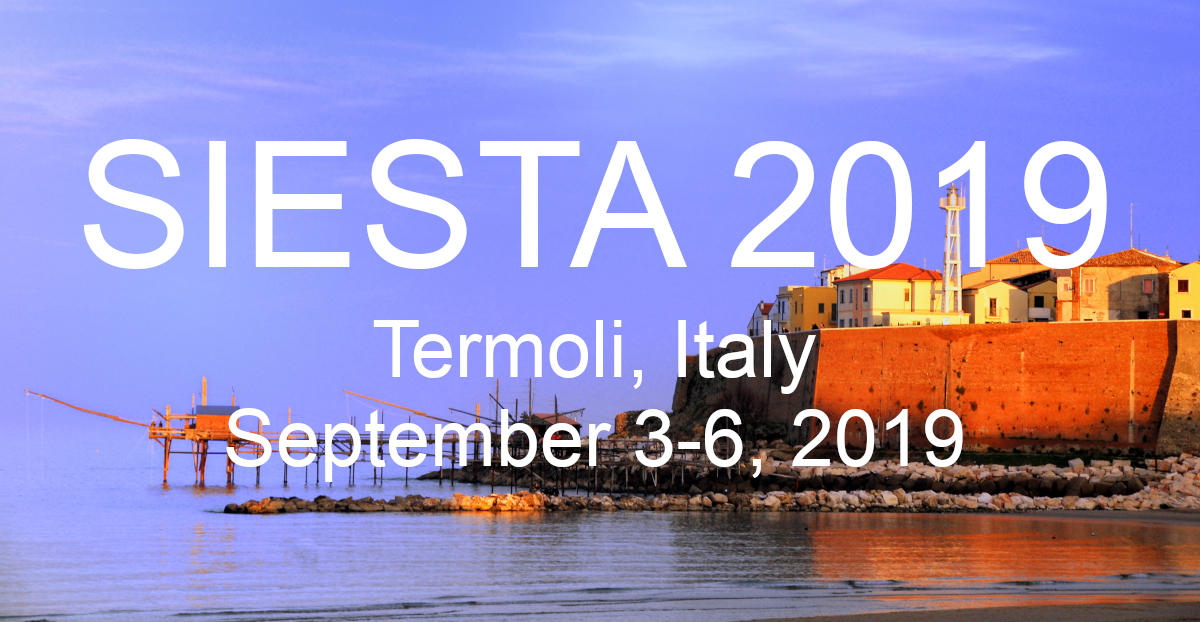 SIESTA 2019 International Summer School on Software Engineering